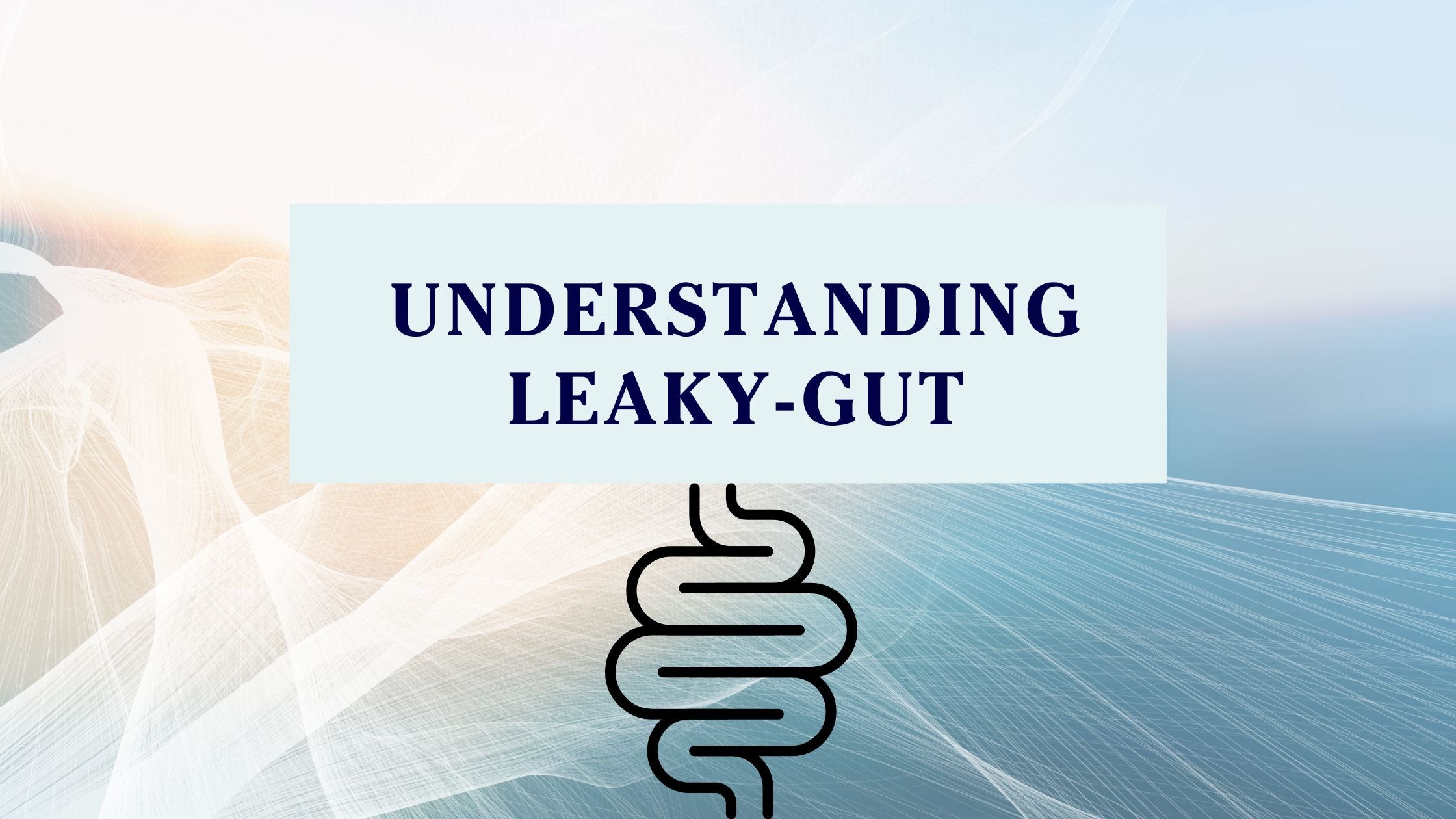 A guide to understanding leaky gut in pets – Good Mama