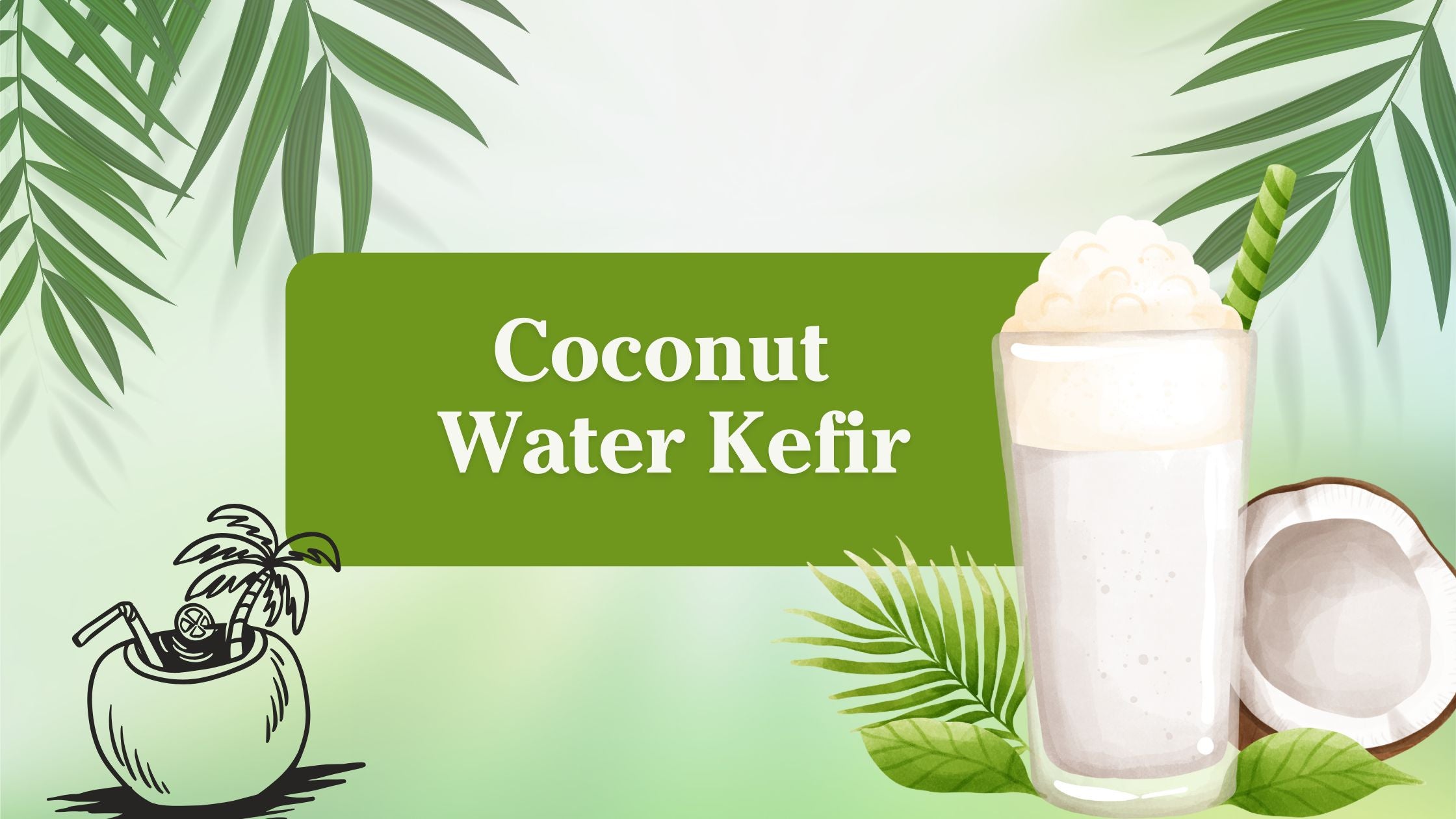 Coconut Water Kefir – The Lesser Known Super Drink for Pets – Good Mama